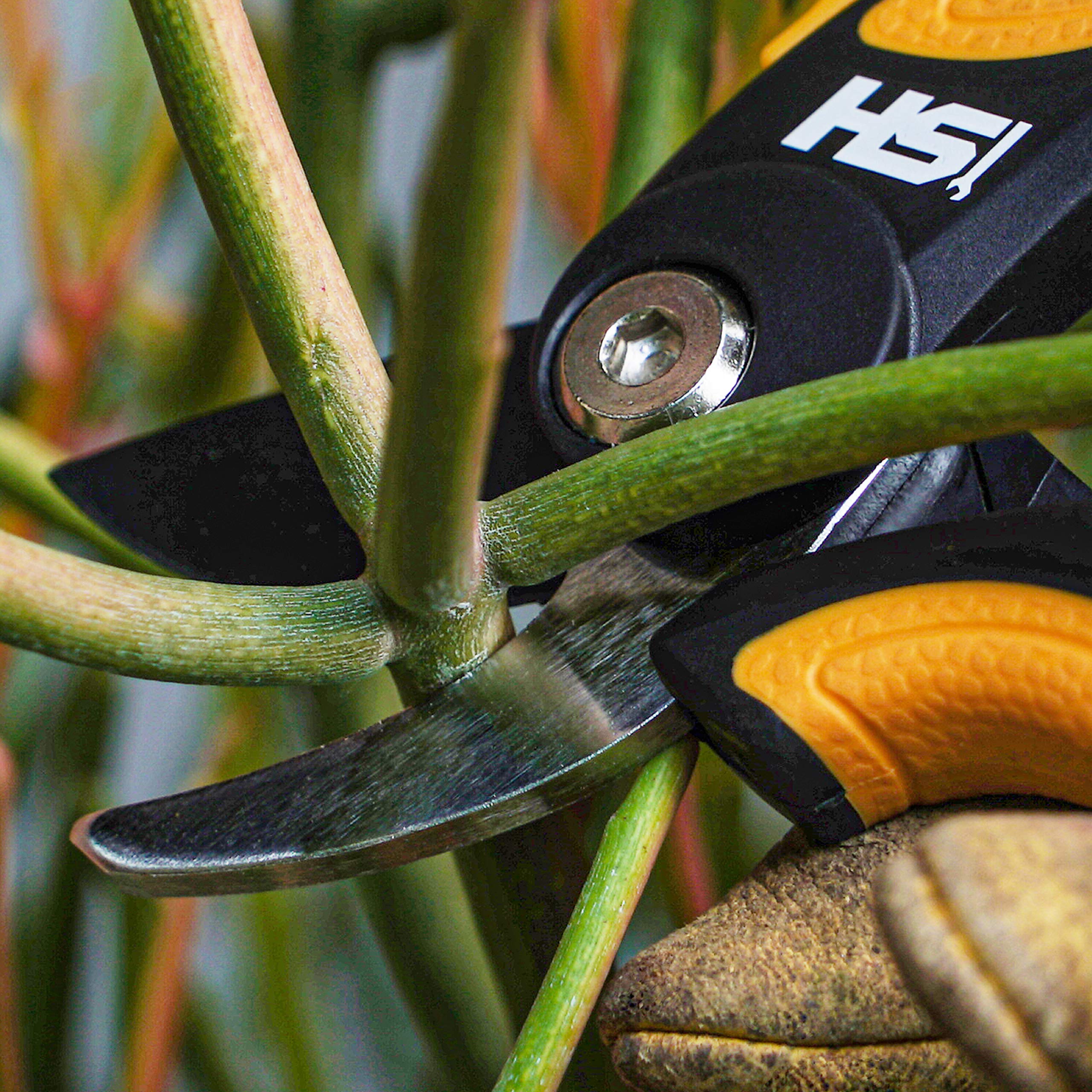 STEELHEAD 7" Bypass Pruning Shears, Non-Stick Rust Resistant Coating, High-Carbon Steel, Sharp, Hand Pruner, Garden Shears, Clippers, Tree Trimmers, Secateurs, 5/8" Cutting Capacity, USA-Based Support