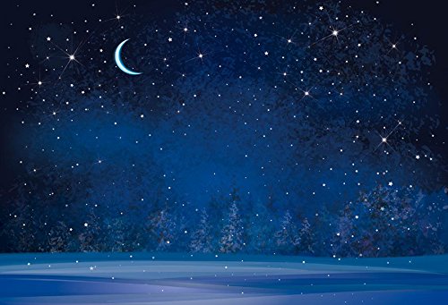Yeele 8x6ft Winter Night Snowfall Snowflake Photography Backdrops Starry Sky Moon Blurry Fir Trees Pine Forest Background Merry Christmas Happy New Year Party Banner Decoration Studio Props