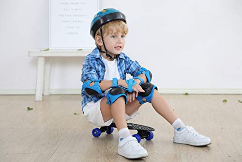 SK8MEMO 17X5inch Kids Skateboard, Mini Skateboard for Beginners (Blue)……