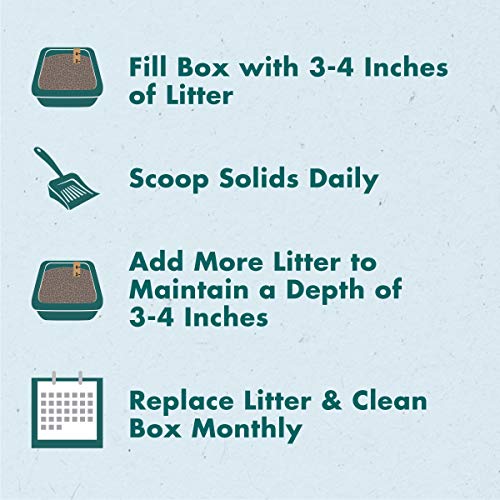 Yesterday's News Purina Clumping Paper Lightweight Cat Litter, Clean Scent Multi Cat Litter - 20 lb. Bag