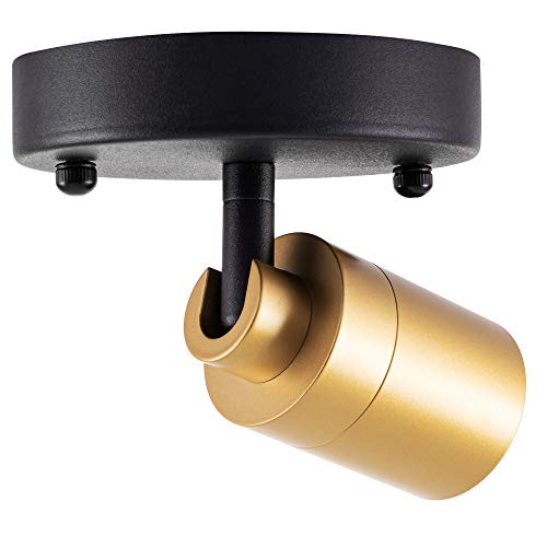 VidaLite LED Monopoint Sconce Adjustable Flush Mount Spot Light
