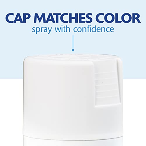 Rust-Oleum 334021-6PK Painter's Touch 2X Ultra Cover Spray Paint, 12 oz, Flat White, 6 Pack