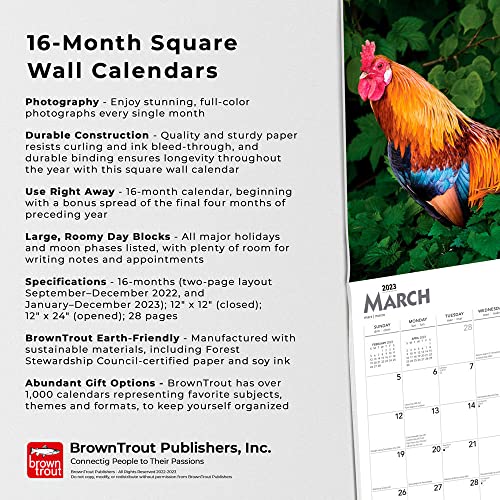 Roosters | 2023 12 x 24 Inch Monthly Square Wall Calendar | BrownTrout | Domestic Farm Barn Animals