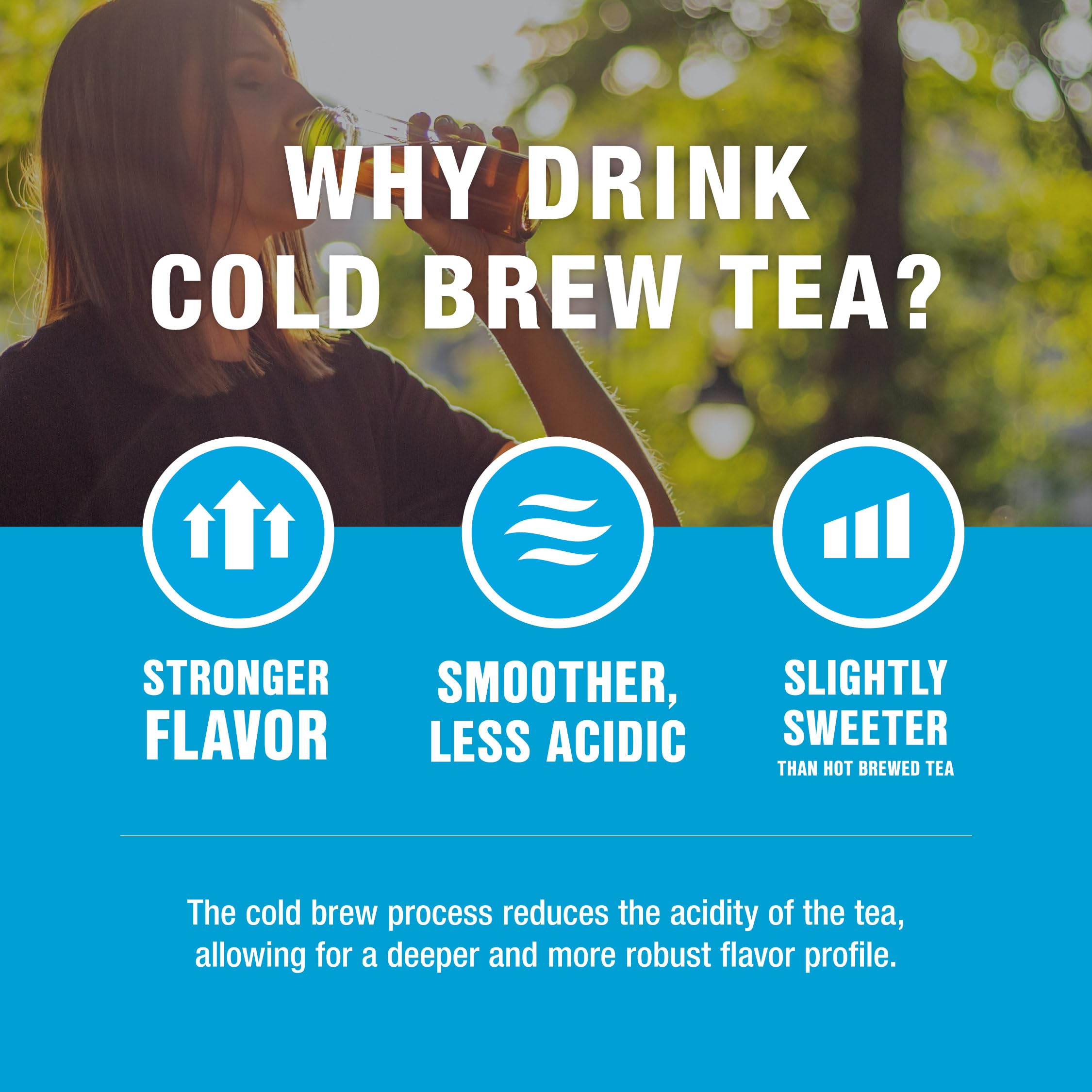 Tiesta Tea - 24 Pack Cold Brew Tea Variety | Premium Loose Leaf Iced Tea Blends | High to Non Caffeinated Iced Tea | Sample Set with 24 Cold Brew Tea Bags - Each Bag Brews One 64oz Pitcher