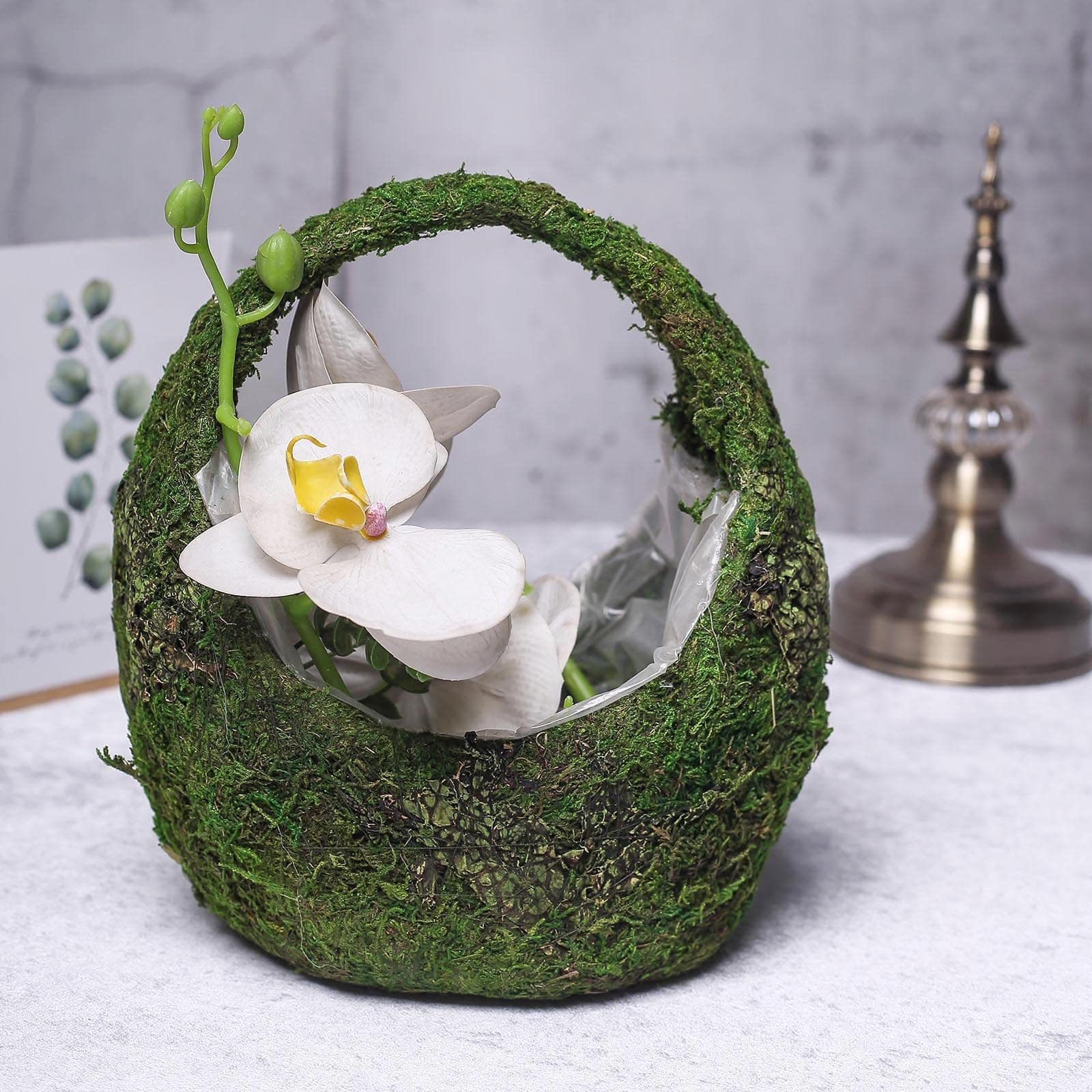TABLECLOTHSFACTORY 9.5" Preserved Moss Planter Basket with Handle Moss Covered Planters with Inner Lining