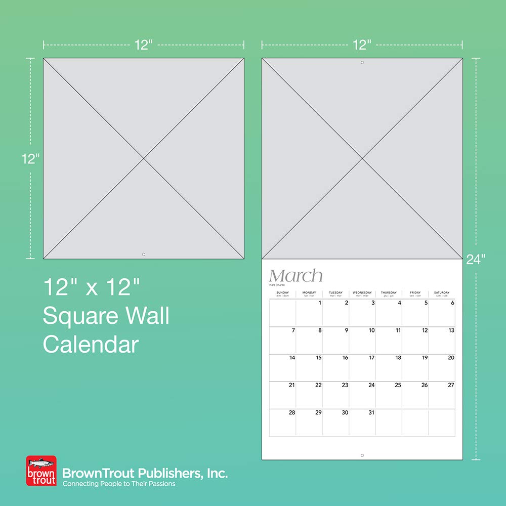 Rottweilers 2022 12 x 12 Inch Monthly Square Wall Calendar, Animals Dog Breeds DogDays