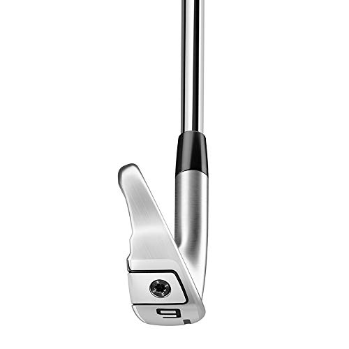 TaylorMade Golf P790 Iron Set, 4-P,A/Rh S