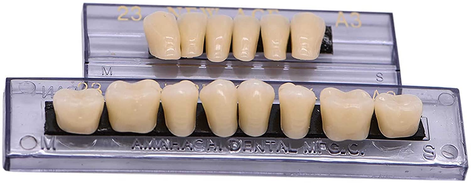 RZJZGZ Synthetic Resin Tooth Denture False Teeth for Halloween Horror Teeth 23 A3(56 Pcs/2Set)