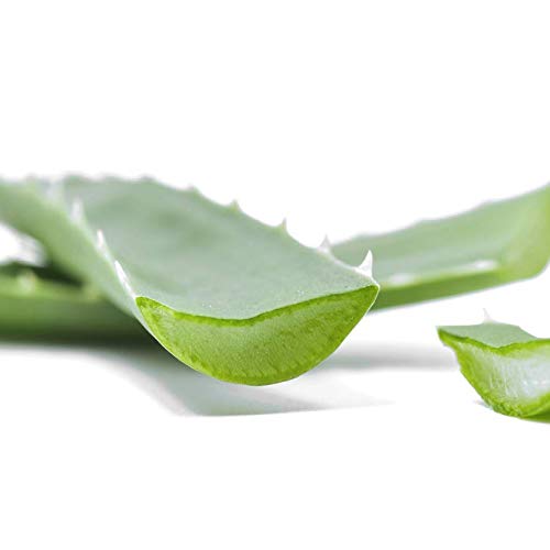 VEGAN Andmetics Brow Wax Strips - Natural Hair Removal with Aloe Vera (8 STRIPS + 4 CALMING WIPES) - Cold Wax - Patented Strips - Easy to Use & Ready in 2 minutes - Fits Everyone