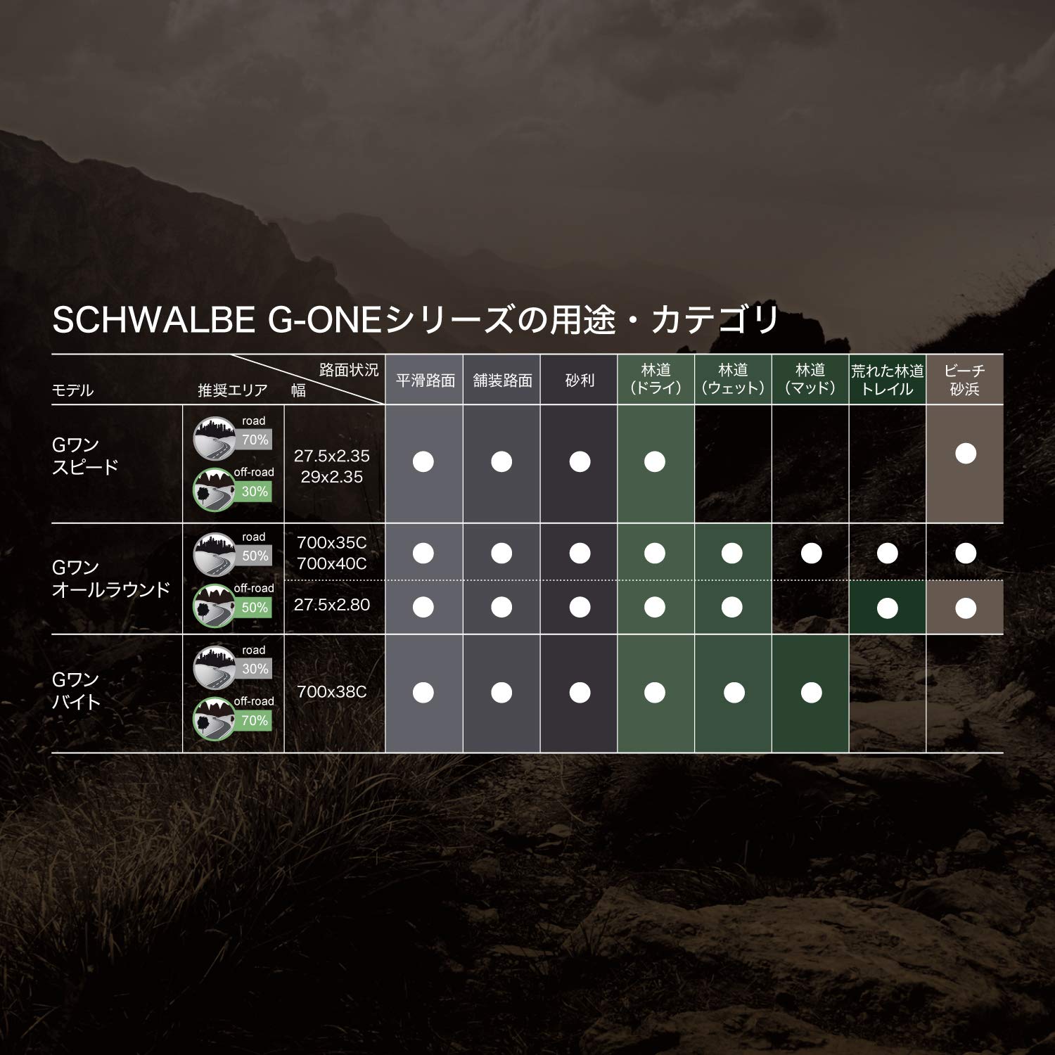 Schwalbe G-One Allround Tire - 700 x 38, Tubeless, Folding, Black, Evolution Line, MicroSkin