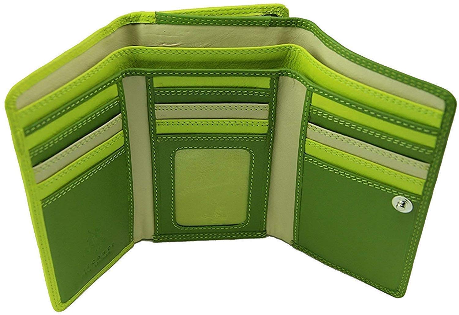 Visconti RB43 Multi Colored Large Trifold Soft Leather Ladies Wallet & Purse (Green Multi)