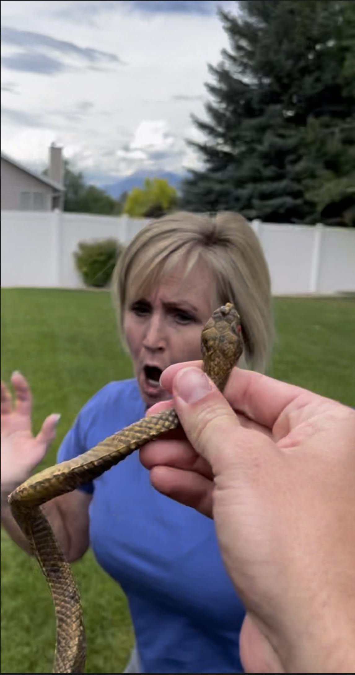 Super Realistic Rubber Brown Snake 50 Inch Long Scare Toy GET Featured by Sending Scare Video to @thescaredlife