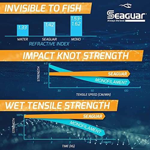 Seaguar Invizx 100% Fluorocarbon 1000 Yard Fishing Line (12-Pound)