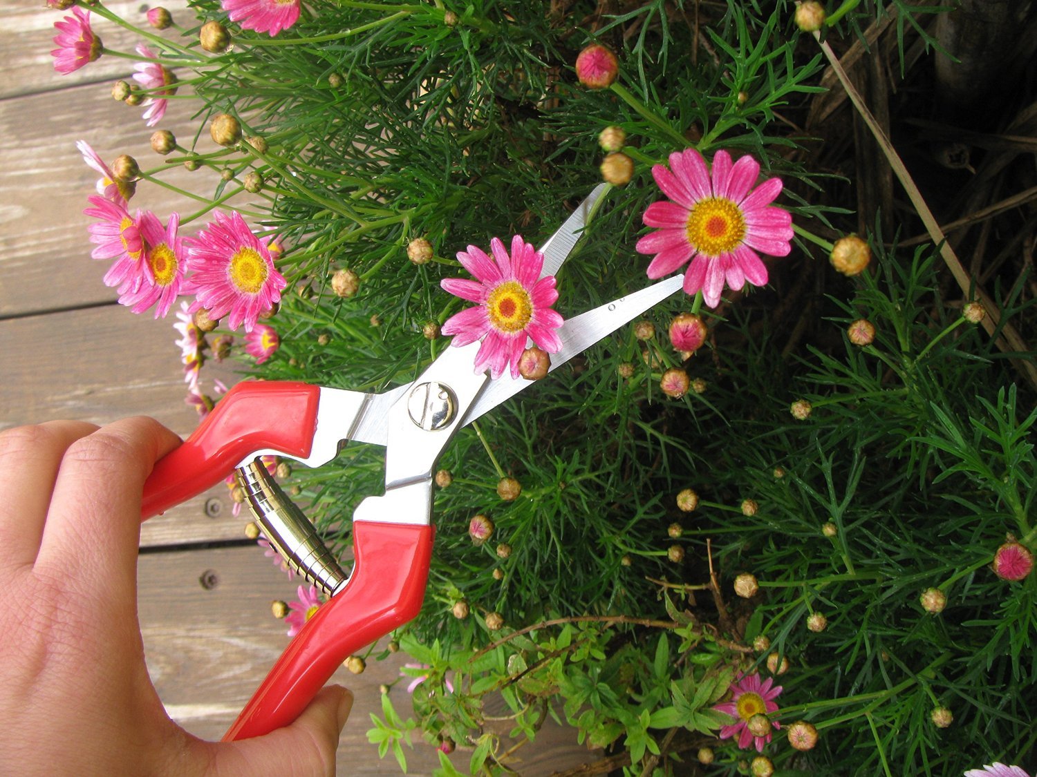TABOR TOOLS K77A Straight Pruning Shears with Stainless Steel Blades, Florist Scissors, Multi-Tasking Garden Snips for Arranging Flowers, Trimming Plants, Harvesting Herbs, Fruits or Vegetables.