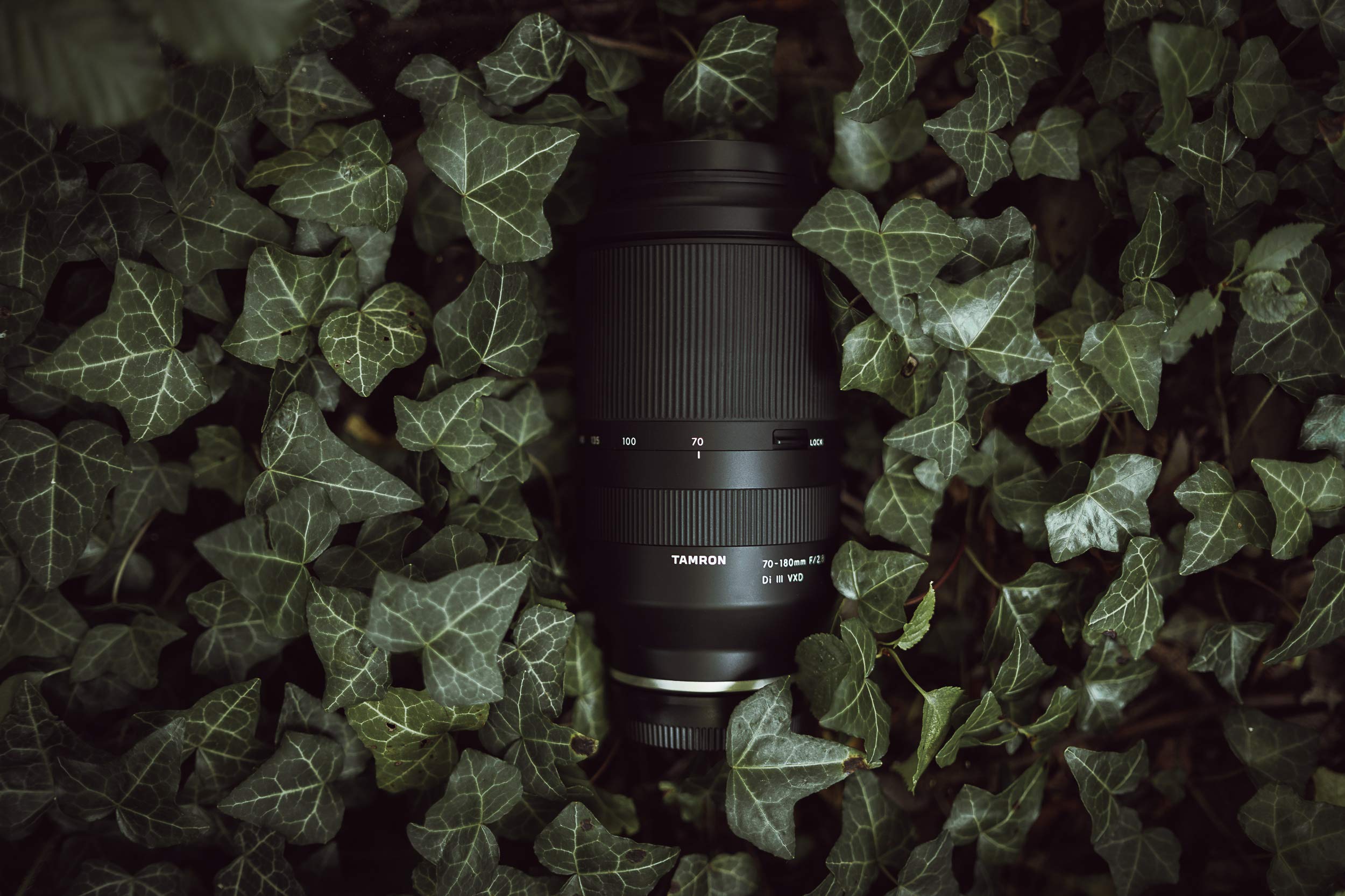 TAMRON 70-180mm F/2.8 Di III VXD A056SF Large Aperture Zoom Telephoto Lens for Sony E Full Frame Mirrorless Cameras