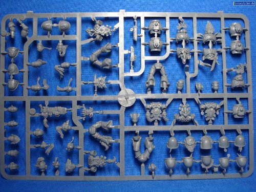 Space Wolves Marine Tactical Pack Warhammer 40k Wolf