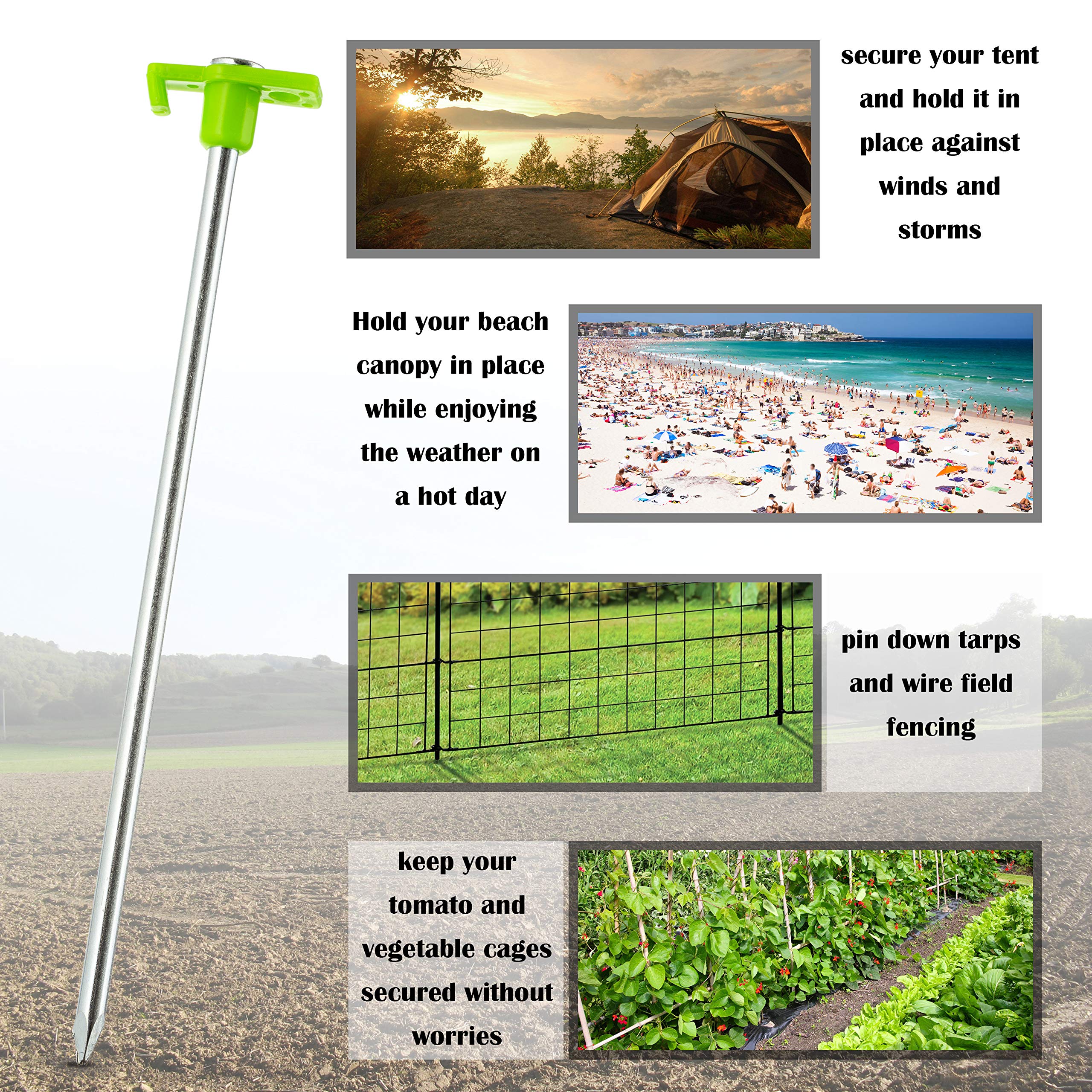 TARPATOP Galvanized 10” Tent Pegs – 12 Heavy Duty Anchoring Stakes with Green Stopper - 1 Peg Puller – Accessory Tool for Hikers, Campers and Farmers – for Gardening, Canopies, Beach Shades and Tarps