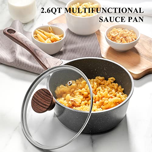 SENSARTE Nonstick Sauce Pan with Lid, 2.5QT Medium Sauce Pot with Swiss Granite Coating, Stay-cool Handle, Multipurpose Handy Little Saucepan, Induction Capable, PFOA Free