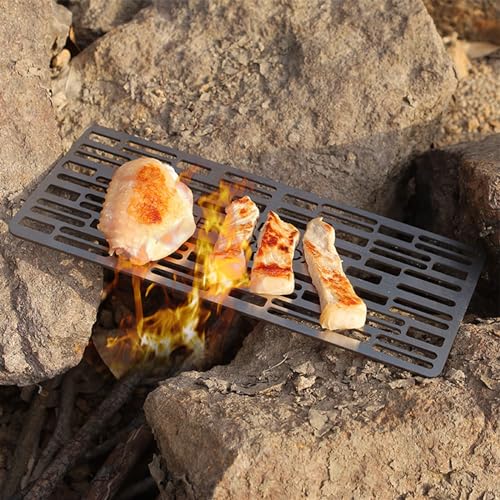 TAMYID Charcoal Grills, Grill Pan Lightweight Barbecue Tray Portable Barbecue Net Gas Grill Barbecue Bracket for Outdoor BBQ
