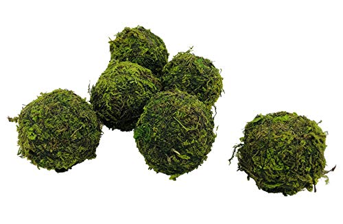zorpia Natural Preserved Moss Hanging Ball Vase Bowl Filler for Garden, Wedding, Party Decoration (3.5"(6 Pack), Green)