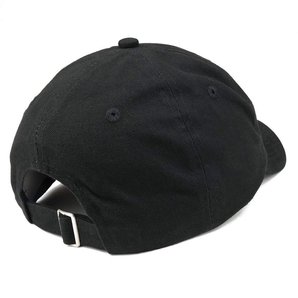 Top Level Apparel NASA Logo Embroidered 100% Cotton Baseball Dad Hat Black