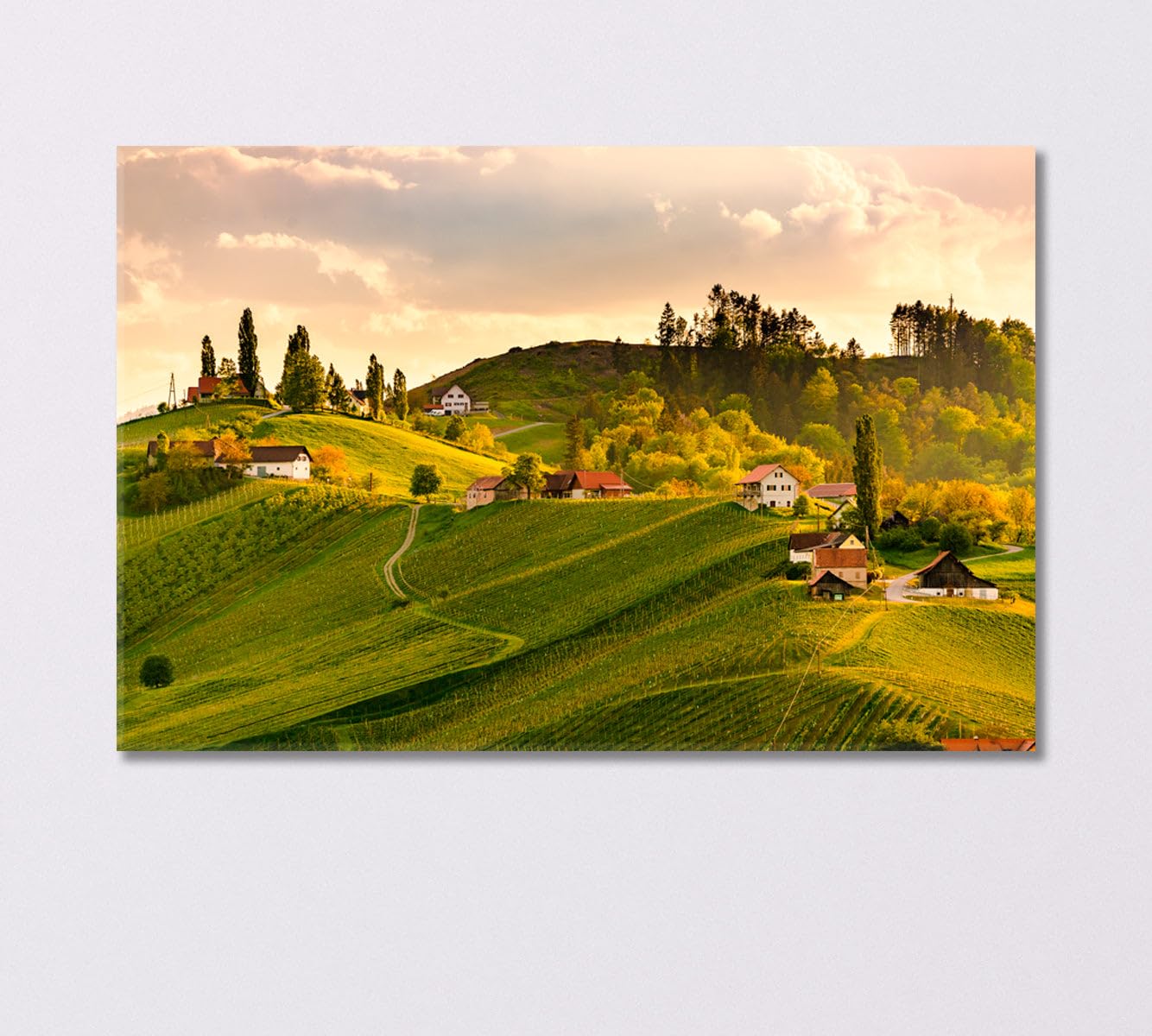 Vineyard Landscape South Styria Austria Canvas Print 1 Panel / 36x24 inches