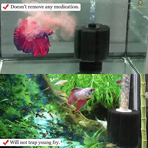 SunGrow 10-Gallon Betta Sponge Filter, Slow Current Fish Tank Filter, Perfect for Fry & Small Fish Aquarium