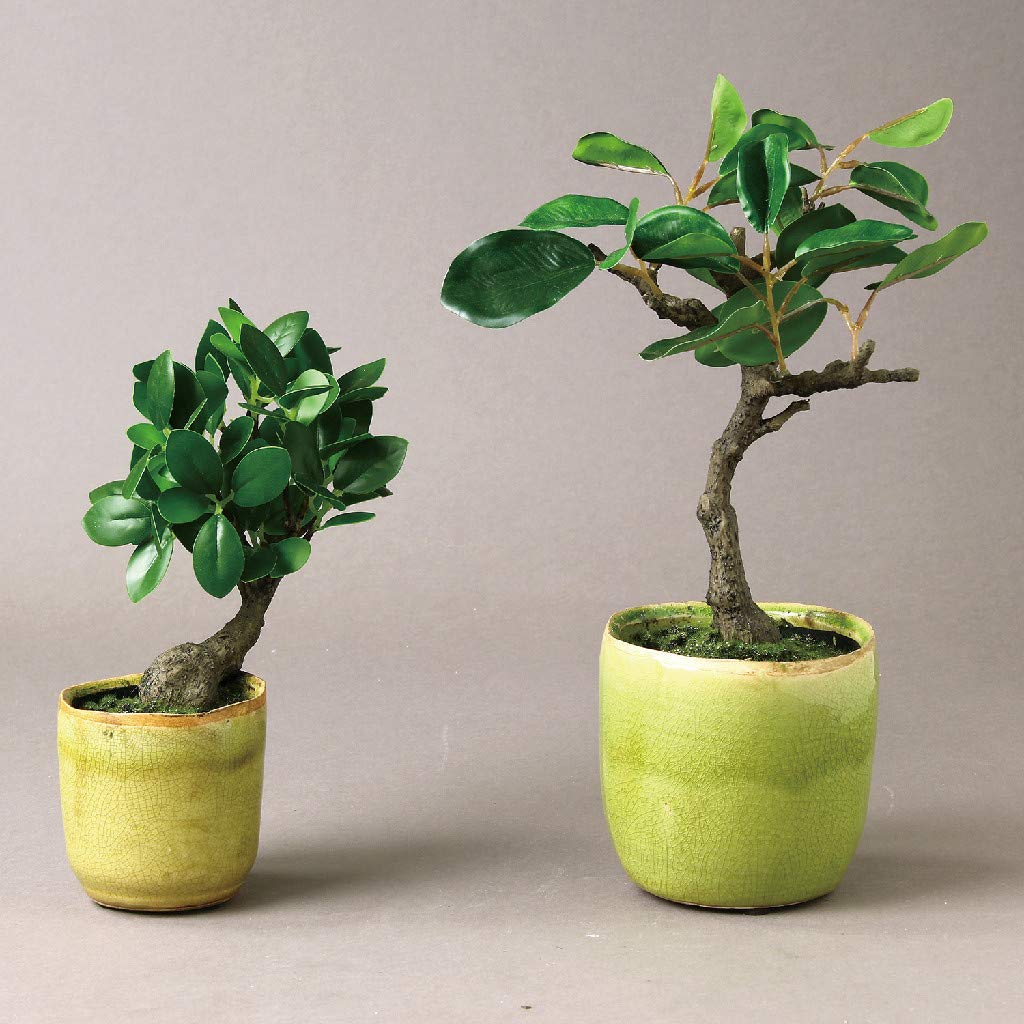 Time Concept Imitation Bonsai Banya Tree in Pot - Small, Short - Artificial Plant, Indoor & Outdoor Display, Home & Garden Decor