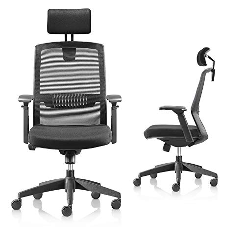 YuanKanJu Ergonomic Office Chair, Home High Back Desk Chair,Adjustable Headrest Backrest and Armrest's Mesh Office Chair with Lumbar Support and Rolling Wheels