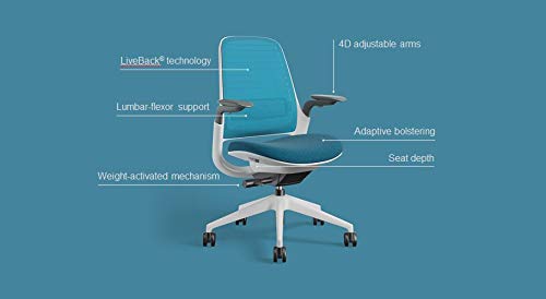 Steelcase Series 1 Office Chair - Ergonomic Work Chair with Wheels for Carpet - Helps Support Productivity - Weight-Activated Controls, Back Supports & Arm Support - Easy Assembly - Wasabi