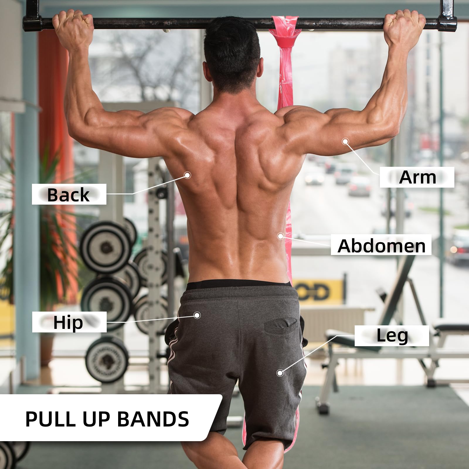 Resistance Bands for Working Out, 5 Levels Pull Up Bands Assistance Bands with Door Anchor, Resistance Bands for Stretching for Stretching, Powerlifting, Physical Therapy and Resistance Training
