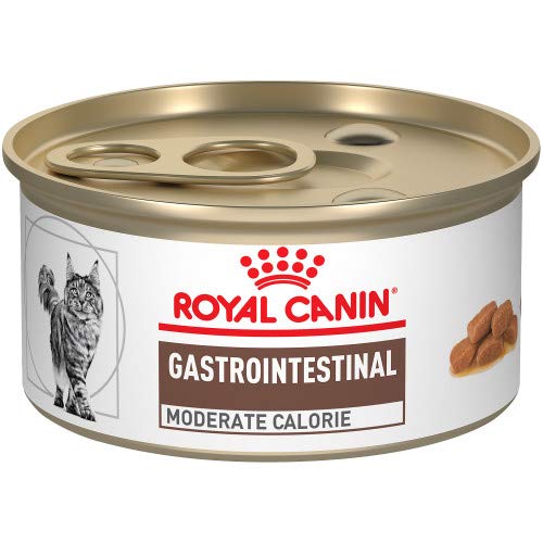 Royal Canin Veterinary Diet Feline Gastrointestinal Moderate Calorie Morsels In Gravy Canned Cat Food, 3 oz