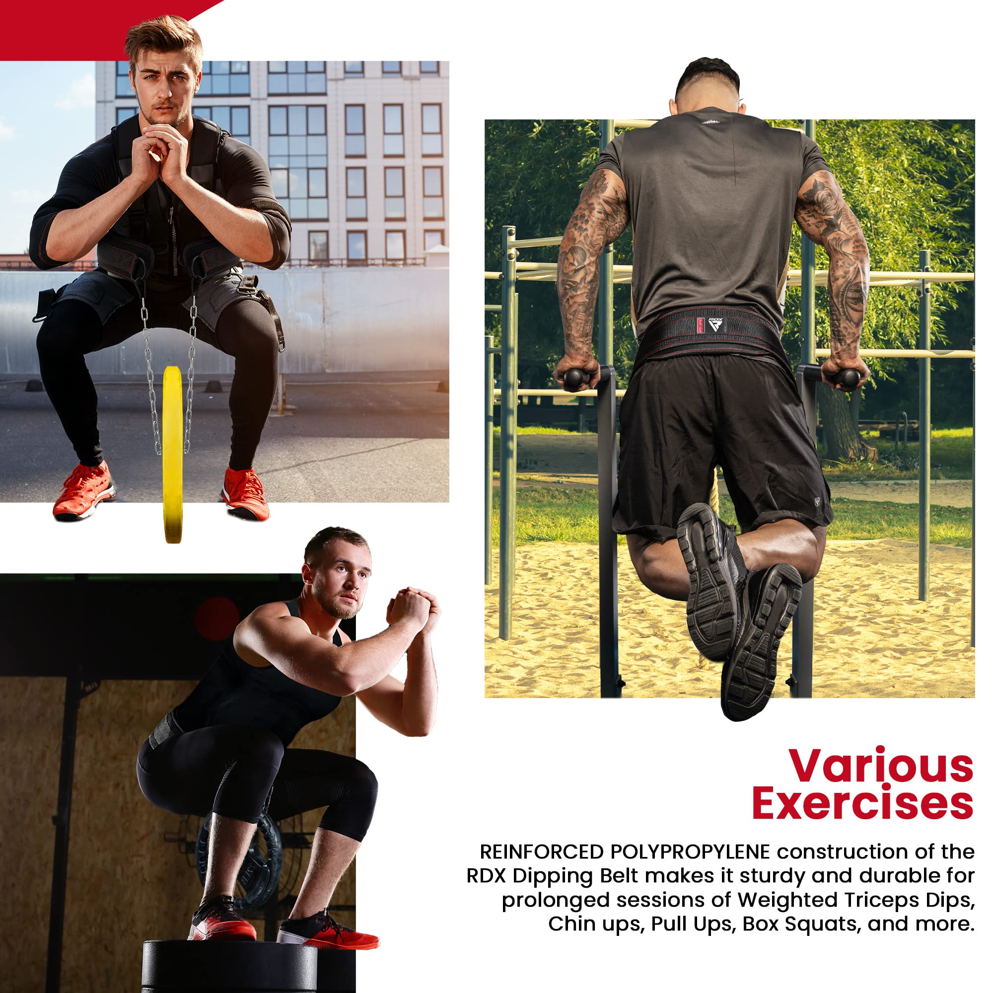 RDX Dip Belt for Weight Lifting, Heavy Duty 36 Inch Adjustable Steel Chain, Dipping Belt Chin Pull Ups Gym Training Bodybuilding Powerlifting Fitness Workout, 6β Padded Neoprene Back Support Men Women