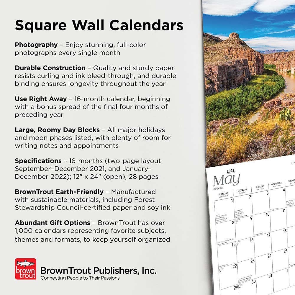 Rottweilers 2022 12 x 12 Inch Monthly Square Wall Calendar, Animals Dog Breeds DogDays