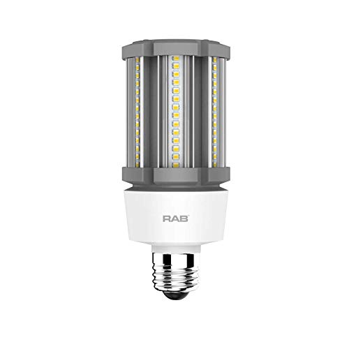 RAB Lighting HID-18-E26-850-BYP-PT Outdoor, Daylight White