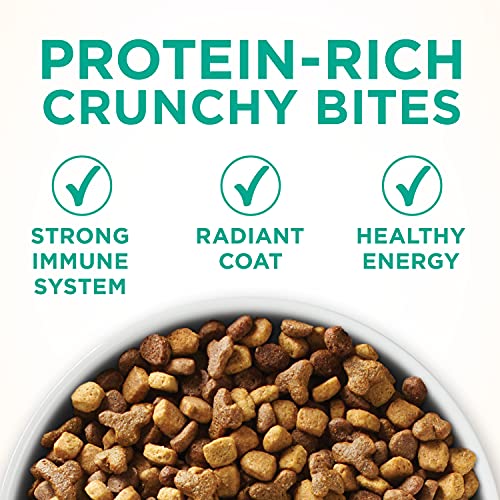Purina ONE Sensitive Stomach, Sensitive Skin, Natural Dry Cat Food, +Plus Sensitive Skin and Stomach Formula - 7 lb. Bag