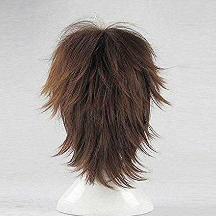Suzumiya Haruhi no Yuuutu Koizumi Itsuki 35cm Brown Cosplay Wig + Free Wig Cap (brwon)
