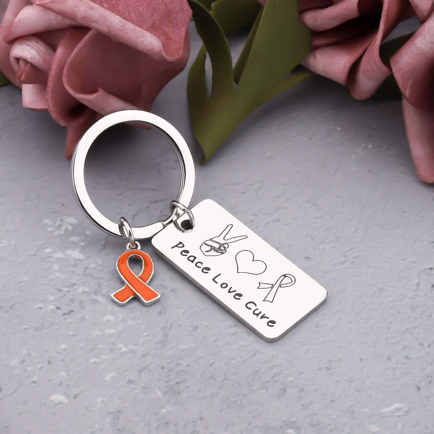WSNANG Orange Ribbon Multiple Sclerosis Awareness Jewelry Peace Love Cure Leukemia Awareness Keychain Leukemia Warrior Gift (Orange Cure KC)