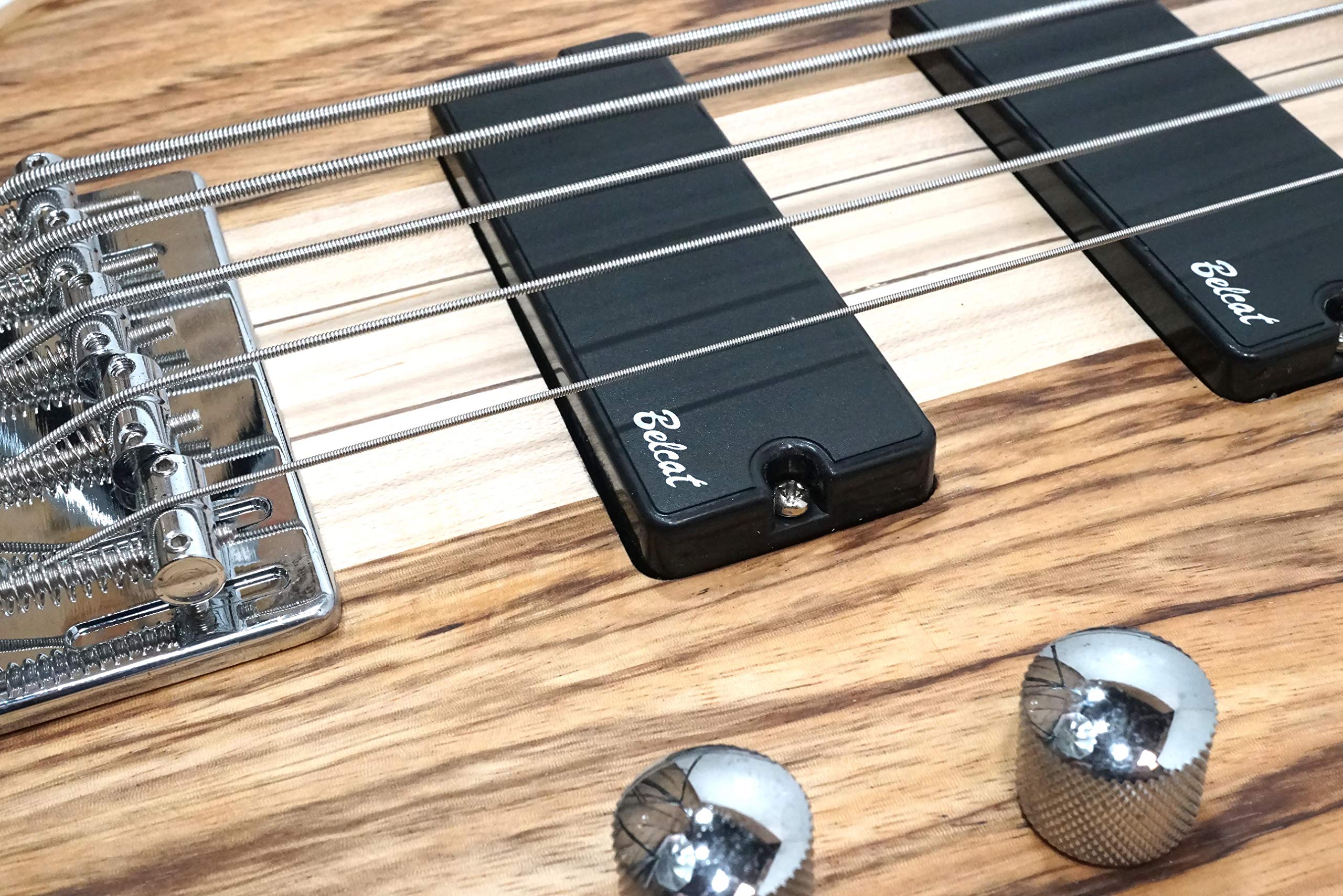TARIO 5 String Electric Bass Guitar Millettia Laurentii+Okoume body maple neck