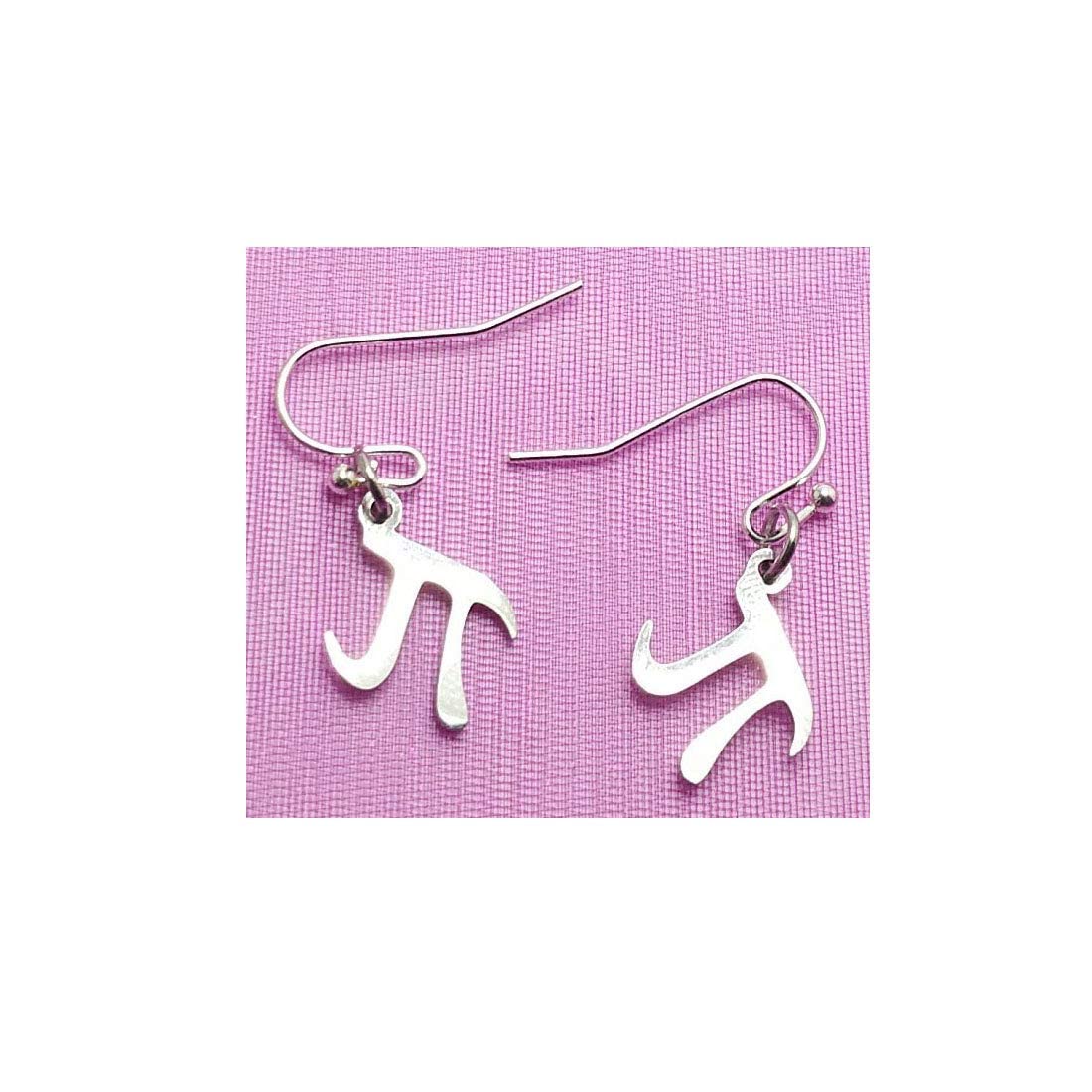 Stainless Steel Pi Drop Earrings [Math Nerd/Geek Style]