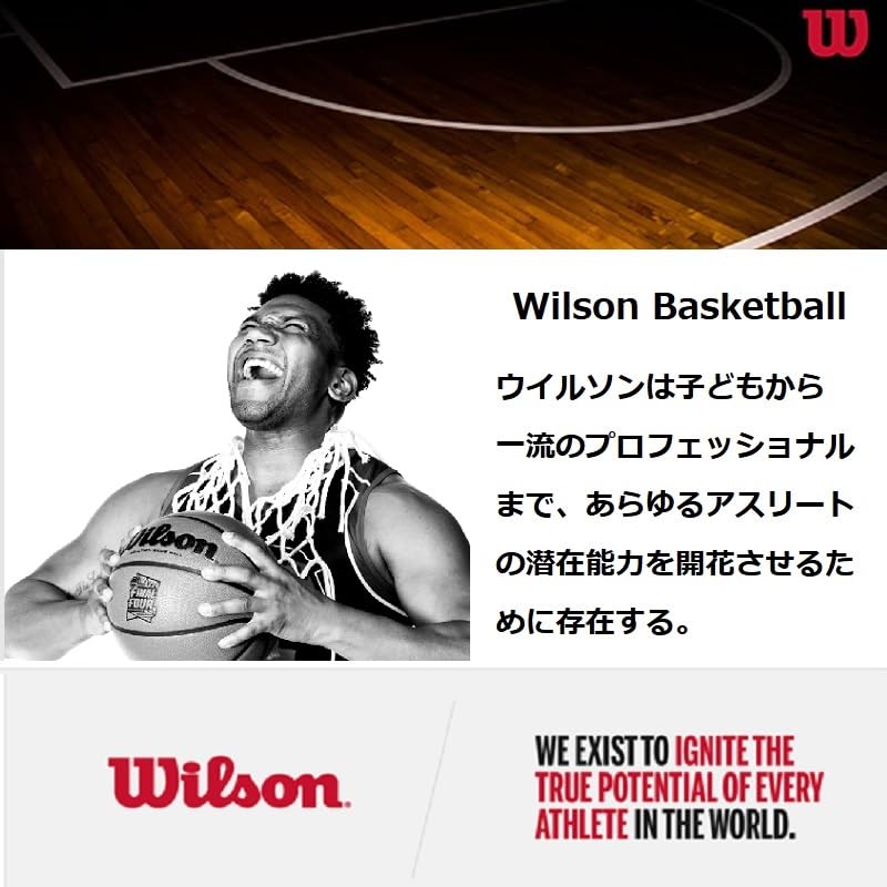 WILSON NBA Forge Dual Action Basketball Pump