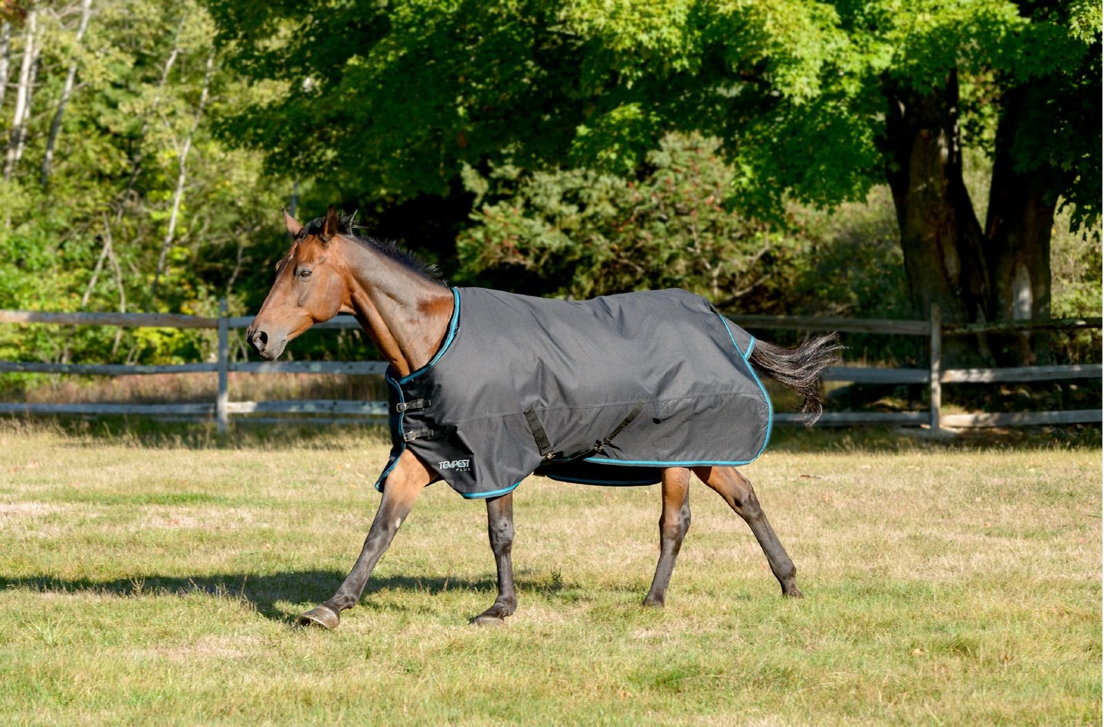 Shires, Tempest Plus 1200D 200G Turnout,
