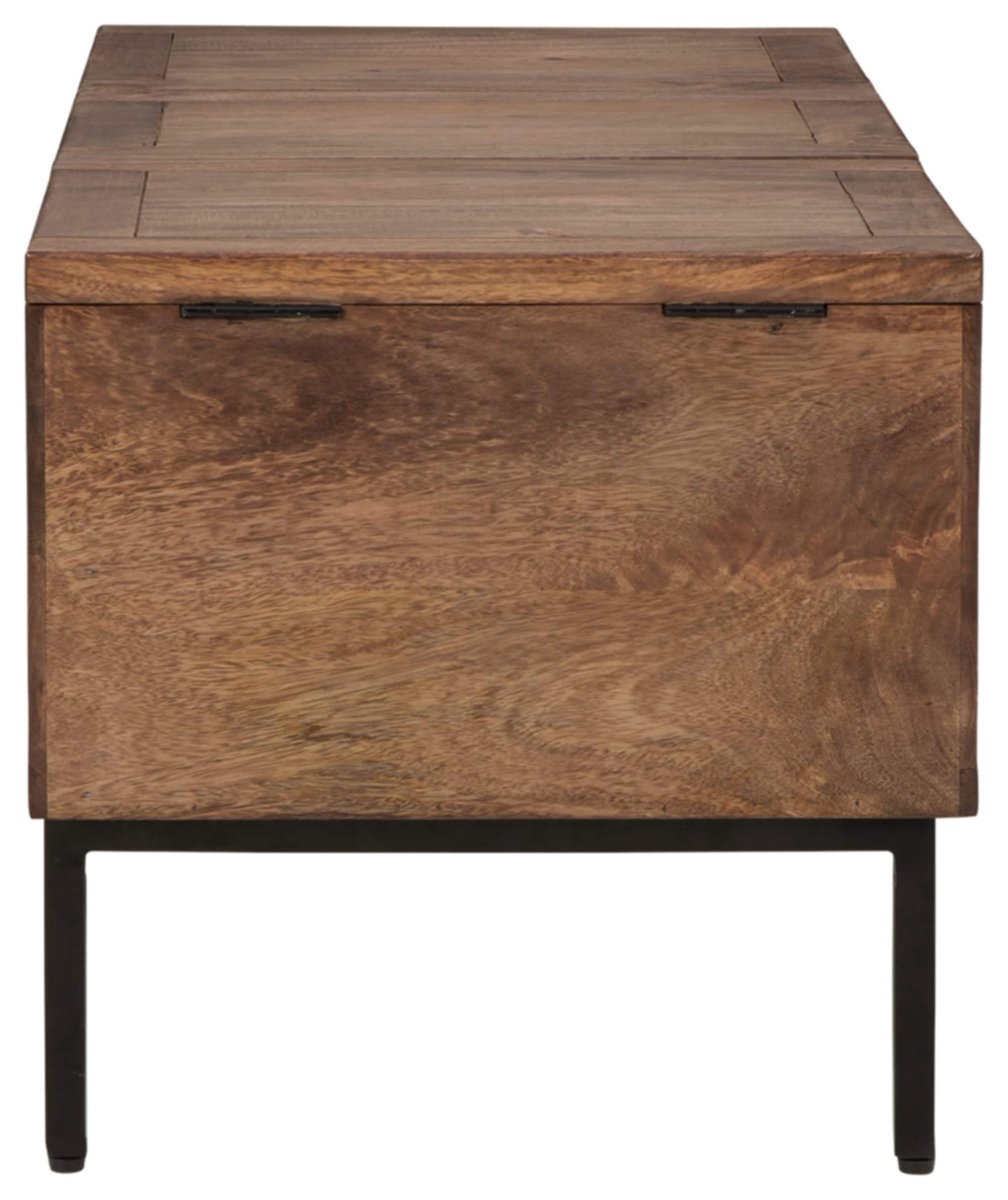 Signature Design by Ashley Braddick Trunk, Light Brown and Black