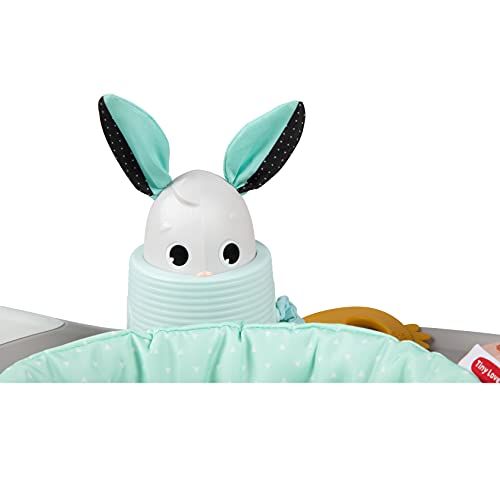 Tiny Love 4-in-1 Here I Grow Mobile Activity Center, Tiny Princess Tales