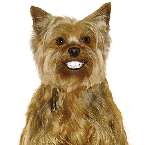 Pedigree Dentastix Original Mini Treats For Dogs - 13.97 Oz. 58 Count (Pack Of 4)
