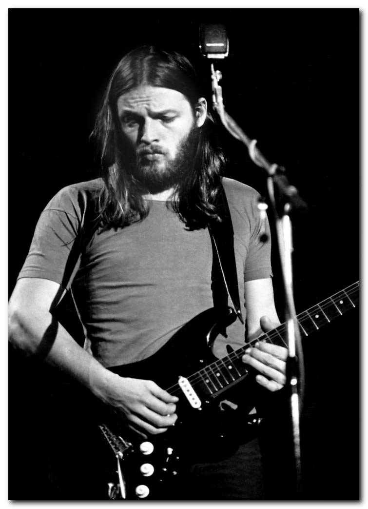 Wall Decor David Gilmour Poster (13 x 19 Inches) | Ready to Frame for Office, Living Room, Dorm, Kids Room, Bedroom, Studio