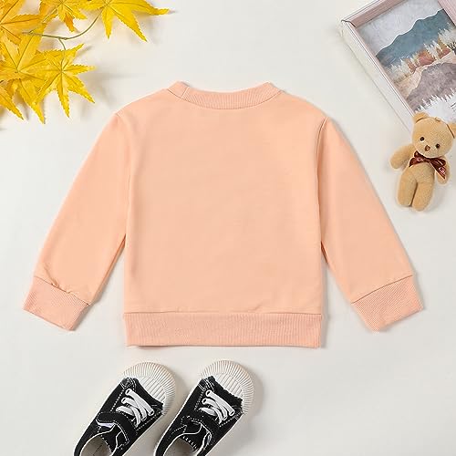Toddler Baby Boy Girl Christmas Outfit Crewneck Sweatshirt Oversized Long Sleeve Pullover Sweater Christmas Clothes (Sugar Plum Pink, 2-3 Years)