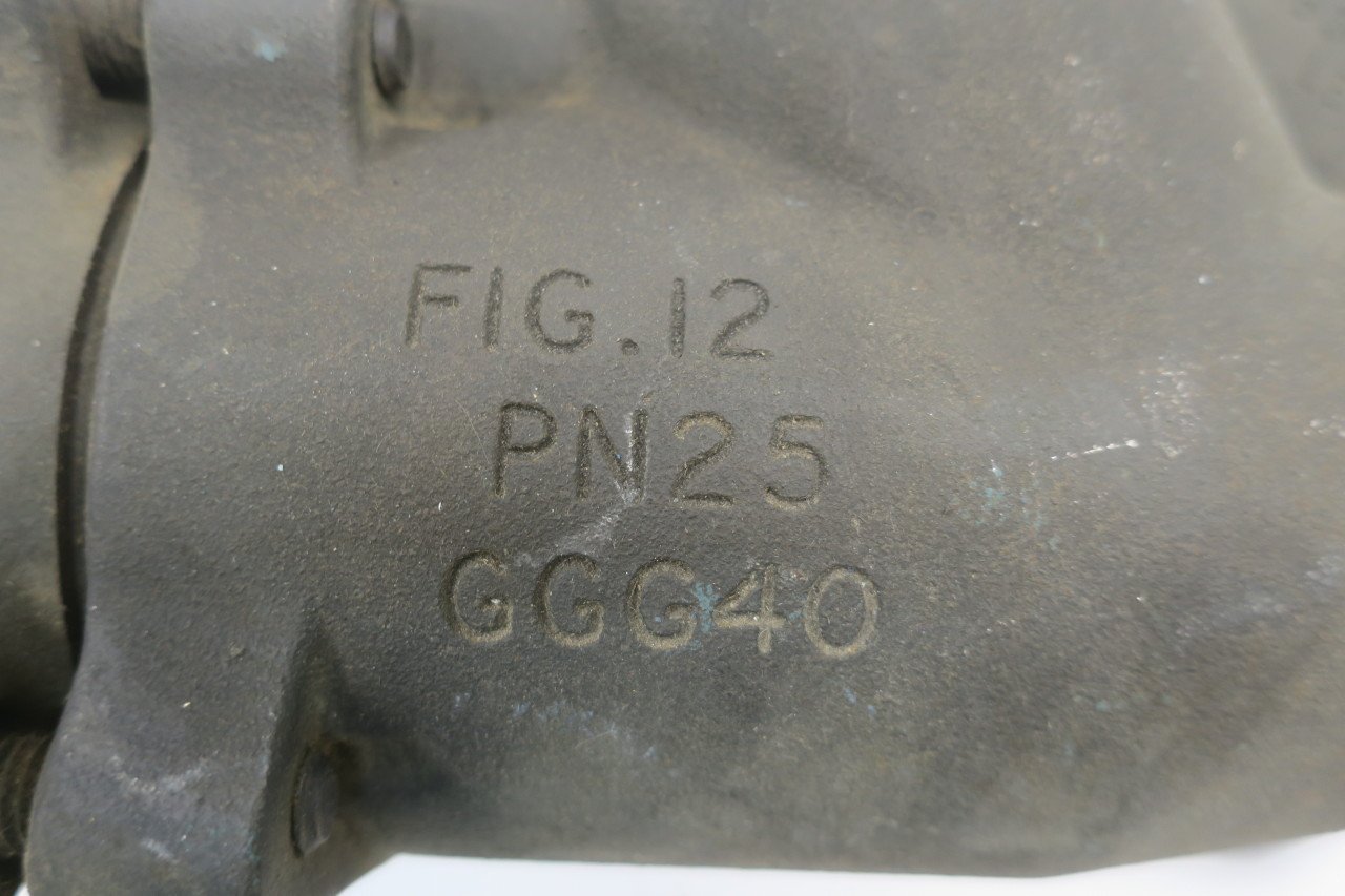 SPIRAX SARCO FIG12 GGG40 3IN NPT Iron STEAM Trap D590993