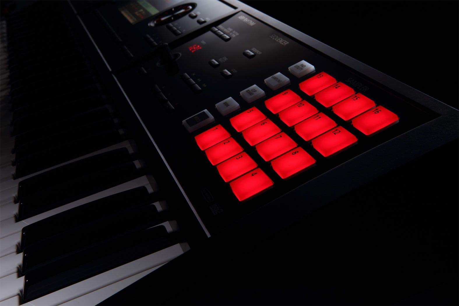 Roland FA-06 61-Key Music Workstation with 16 Backlit Pads