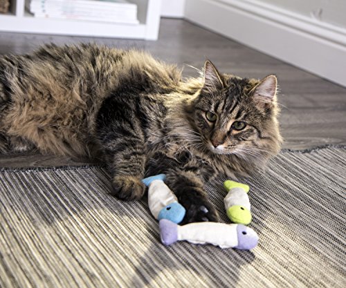 SmartyKat (3 Count) Fish Flop Crinkle Catnip Cat Toys - Multi Color, 3 Count
